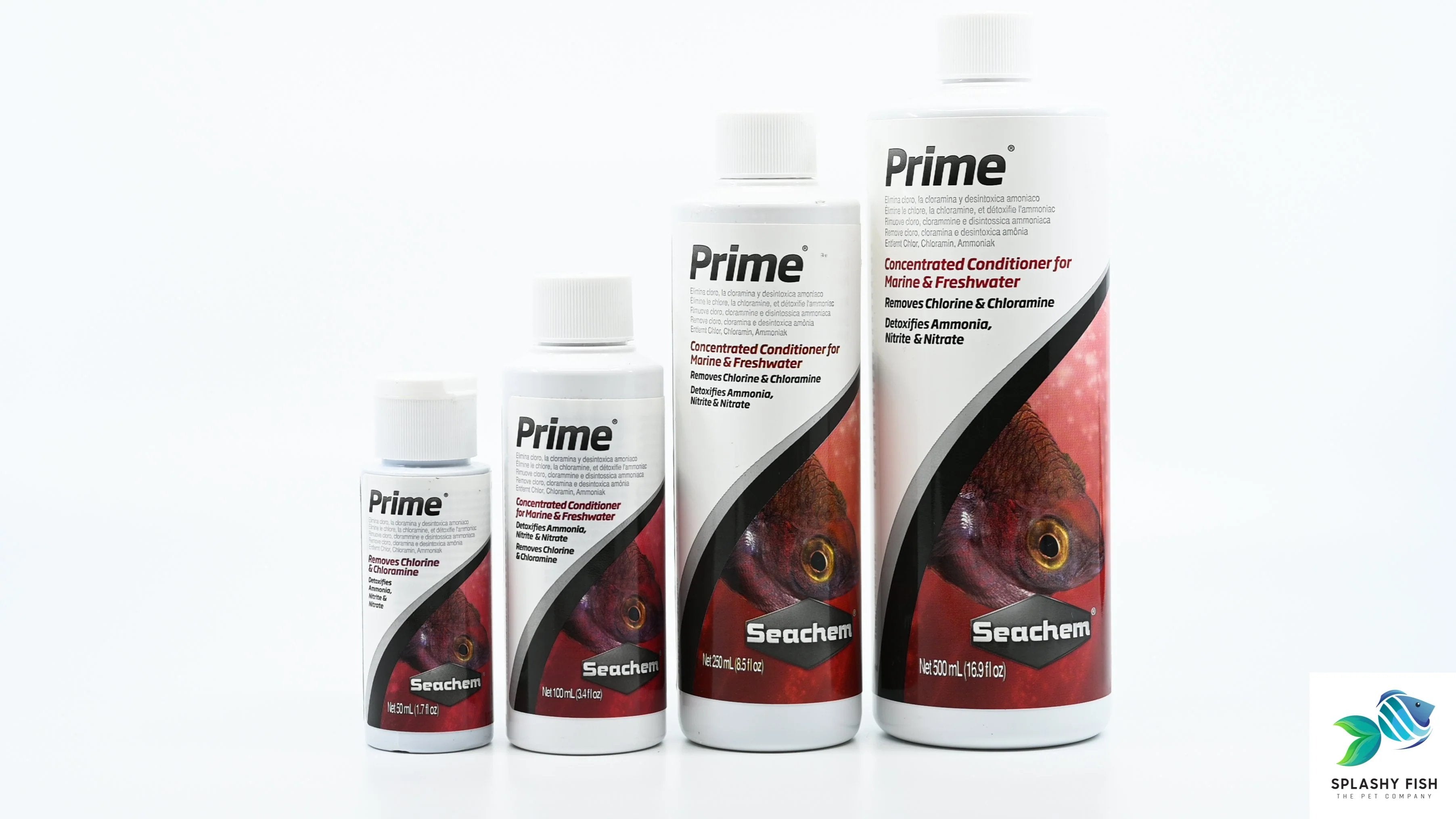 Live Freshwater Fish & Aquarium Plants for sale | Splashy Fish