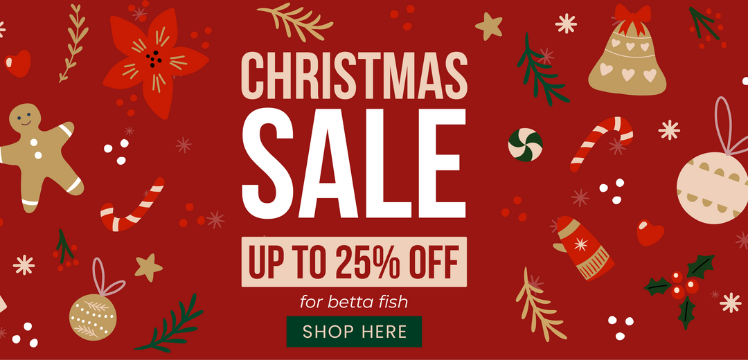 Live Freshwater Fish & Aquarium Plants for sale | Splashy Fish